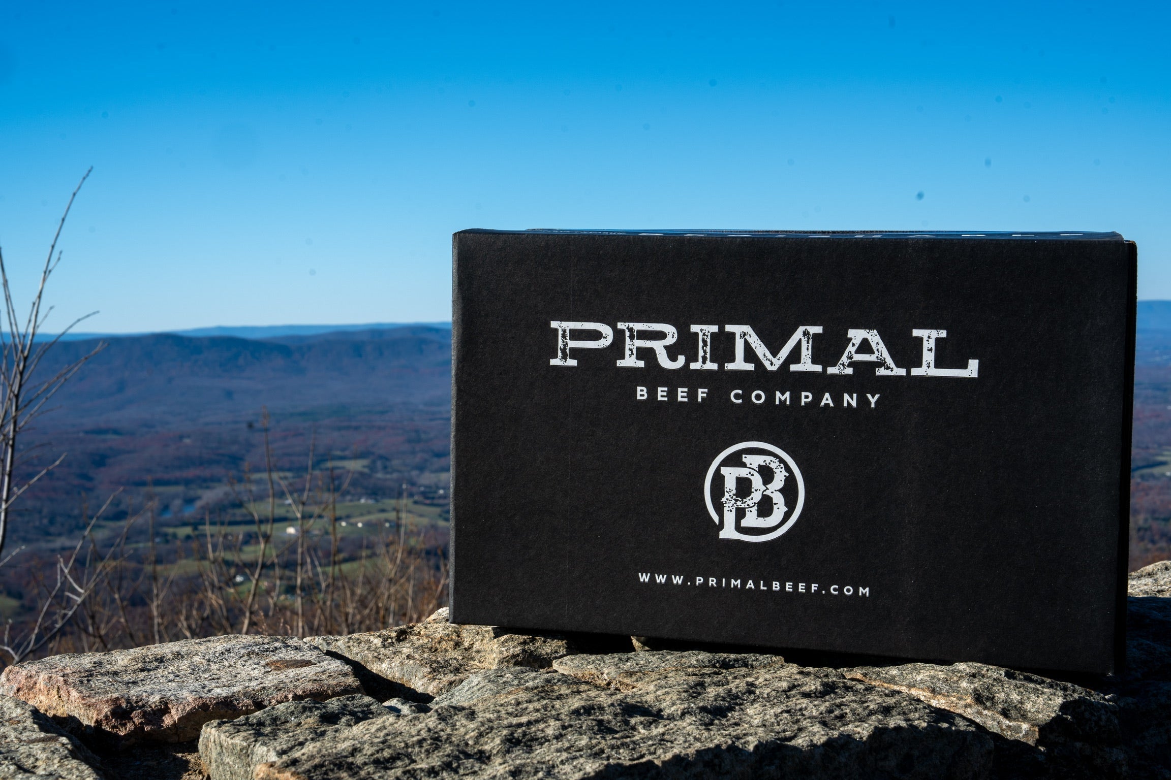 Why No Hormones/No Antibiotics – Primal Beef